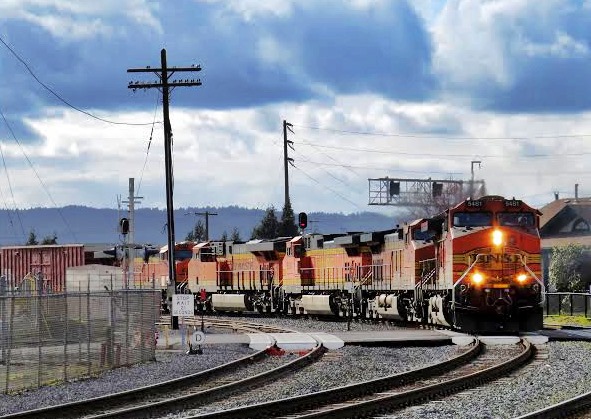 Canadian Railway Observations : South of the Border
